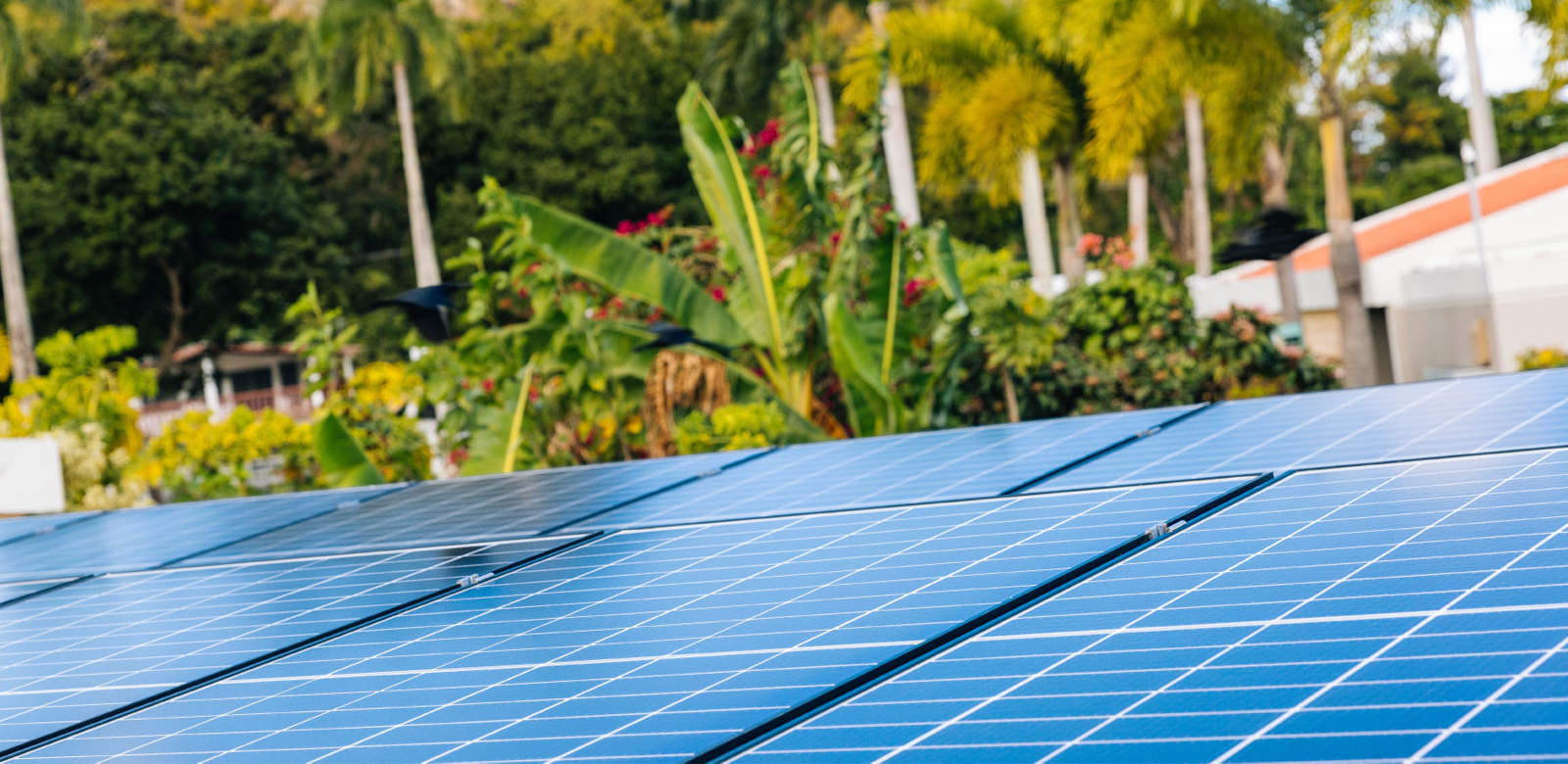 Programa Nueva Energía CDBG 2024 | Best Solar Solutions Puerto Rico